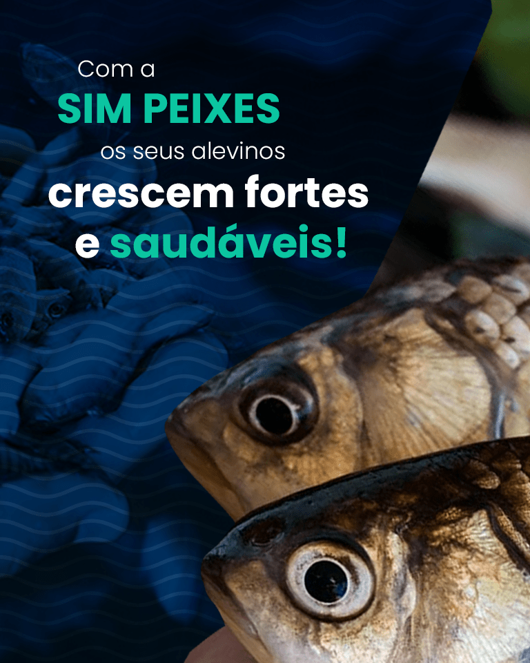 Home - Sim Peixes
